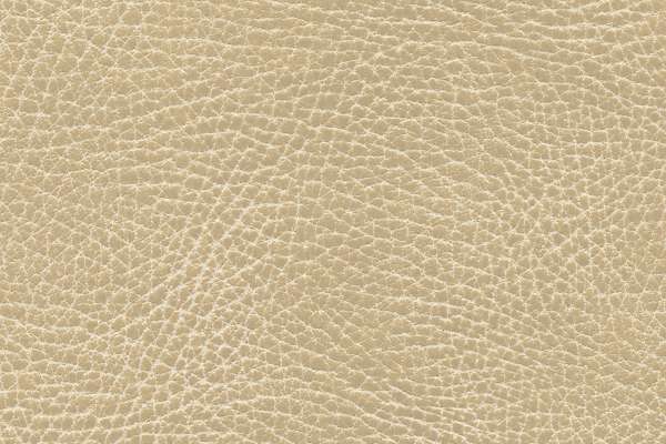 OFS - Brisa Distressed Railroad